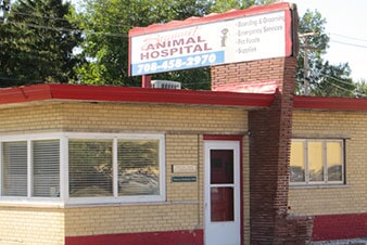 About Us | Summit Animal Hospital