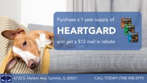 Veterinary Specials in Summit, IL | Summit Animal Hospital