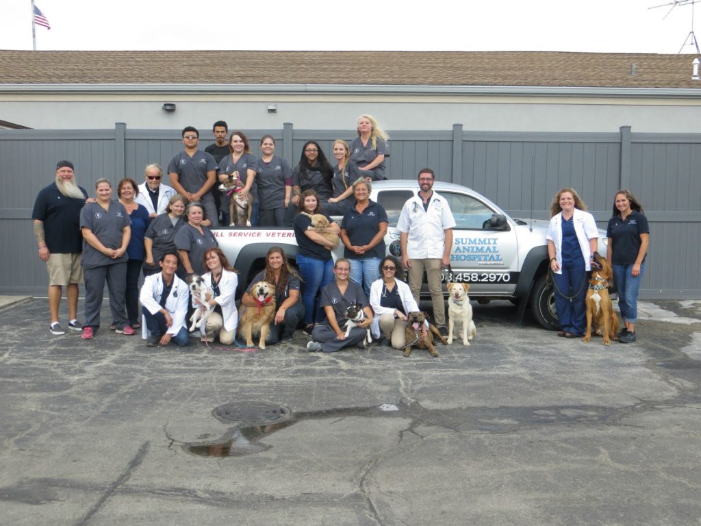 Our Team | Summit Animal Hospital