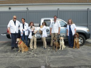 Our Doctors in Summit, IL | Summit Animal Hospital