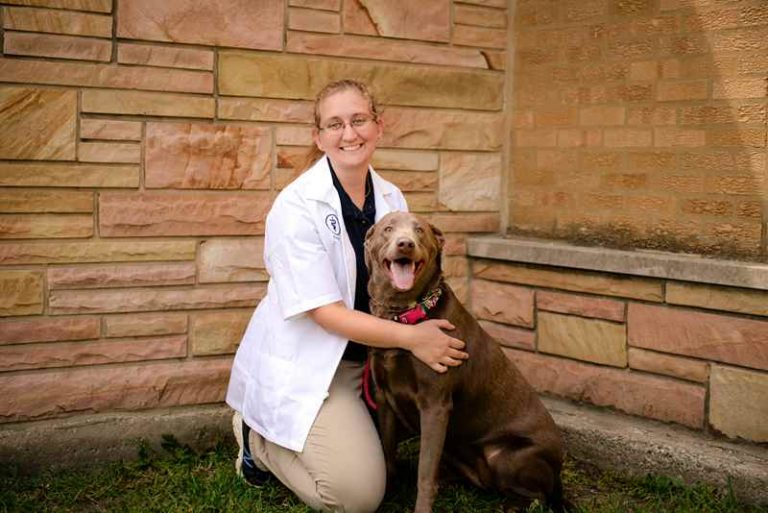 Our Doctors in Summit, IL | Summit Animal Hospital