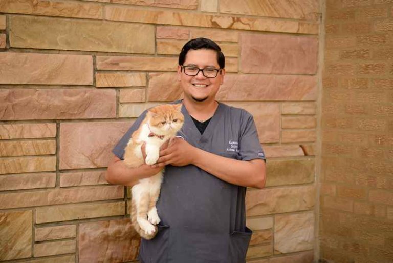 Our Team | Summit Animal Hospital