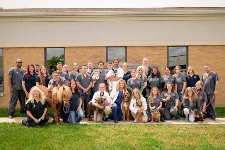 Our Team | Summit Animal Hospital